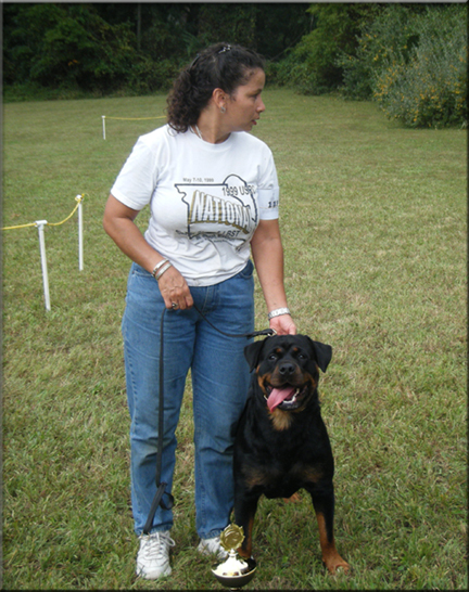 JERZI VOM BLAURASEN | Sire: Ramzes Crni Lotos | Dam: Zurrotts Banja